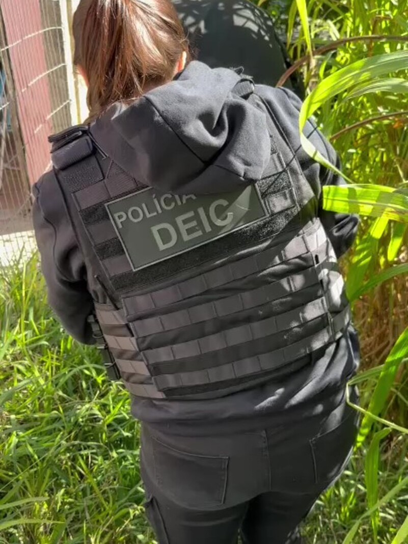 Preso Em Sc Suspeito De Participação Em Roubo A Motorista De Aplicativo